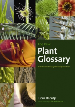 Botanical terms - in words and pictures « Botany One